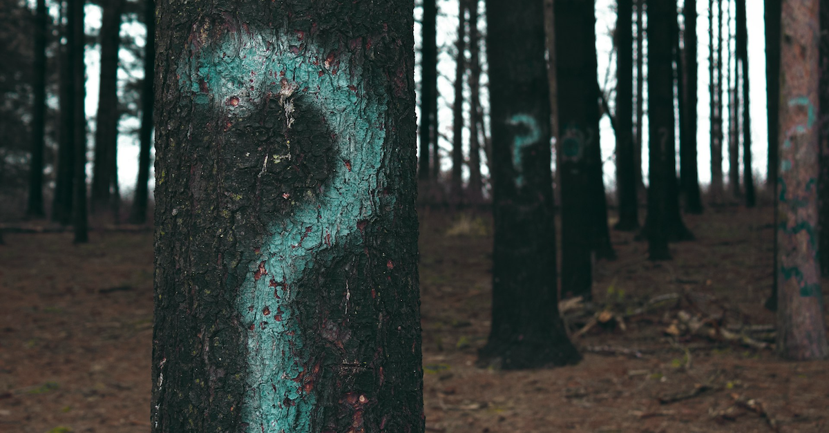 What Is a Memoir’s Essential Question and Why Do You Need One? | Jane ...